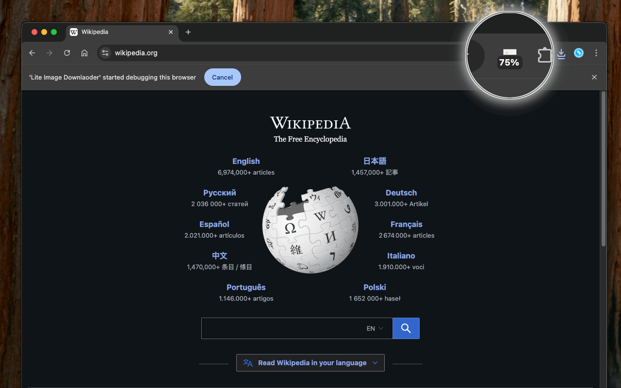 Lite Image Downloader :: WebExtension.ORG